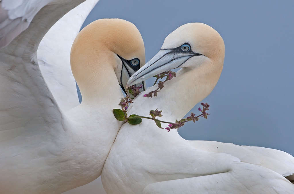 Snap to it for wildlife photography in East Yorkshire – MHMS